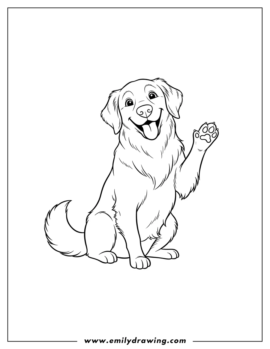 Golden Retriever Coloring Pages - Emily Drawing